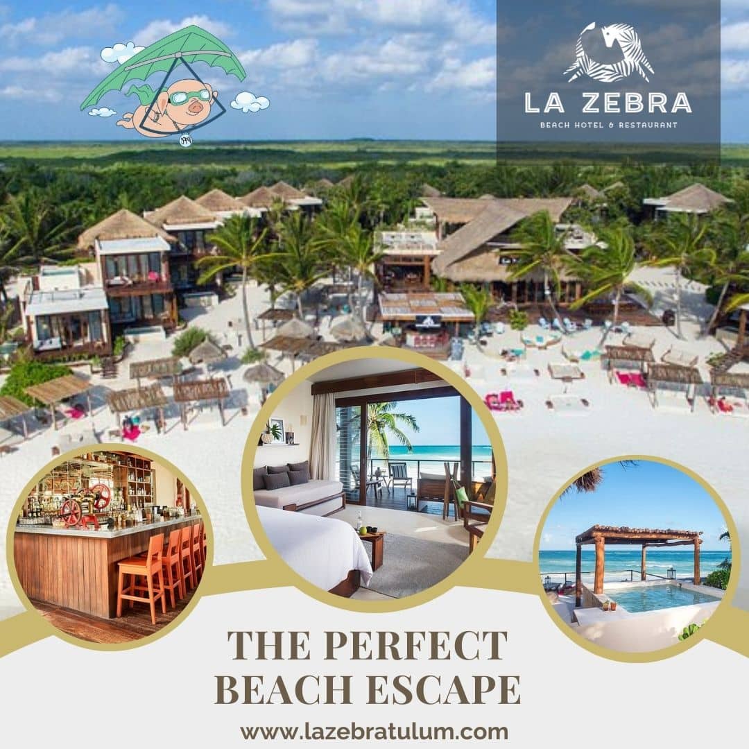 The La Zebra Hotel: A Serene Escape in Tulum - Pigs Fly Cheap